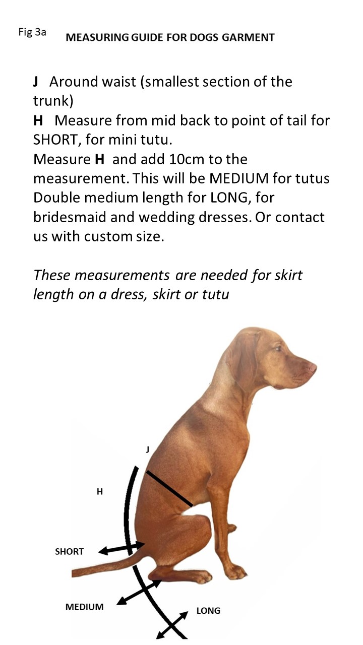 Measuring Guide – The Posh Paws Company